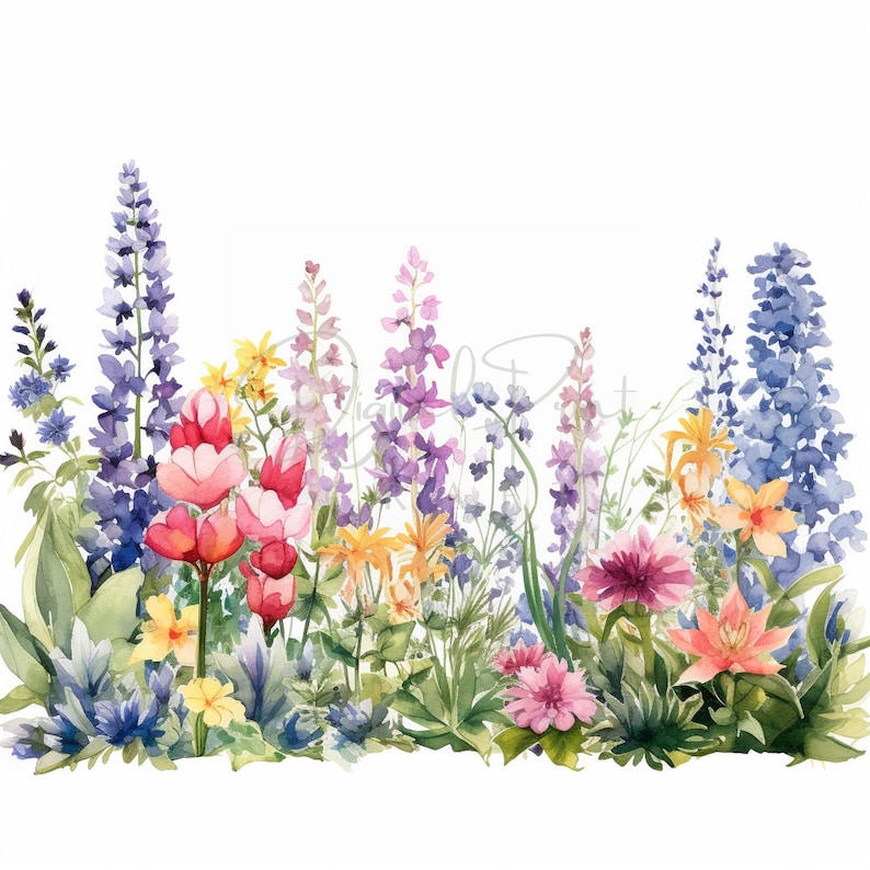 Spring Flower Meadow Bed Clipart Bundle 18 High Quality Jpgs ...