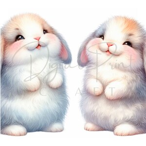 Colorful Cute Bunny Clipart PNG Bundle, 14 Watercolor PNG Files for ...