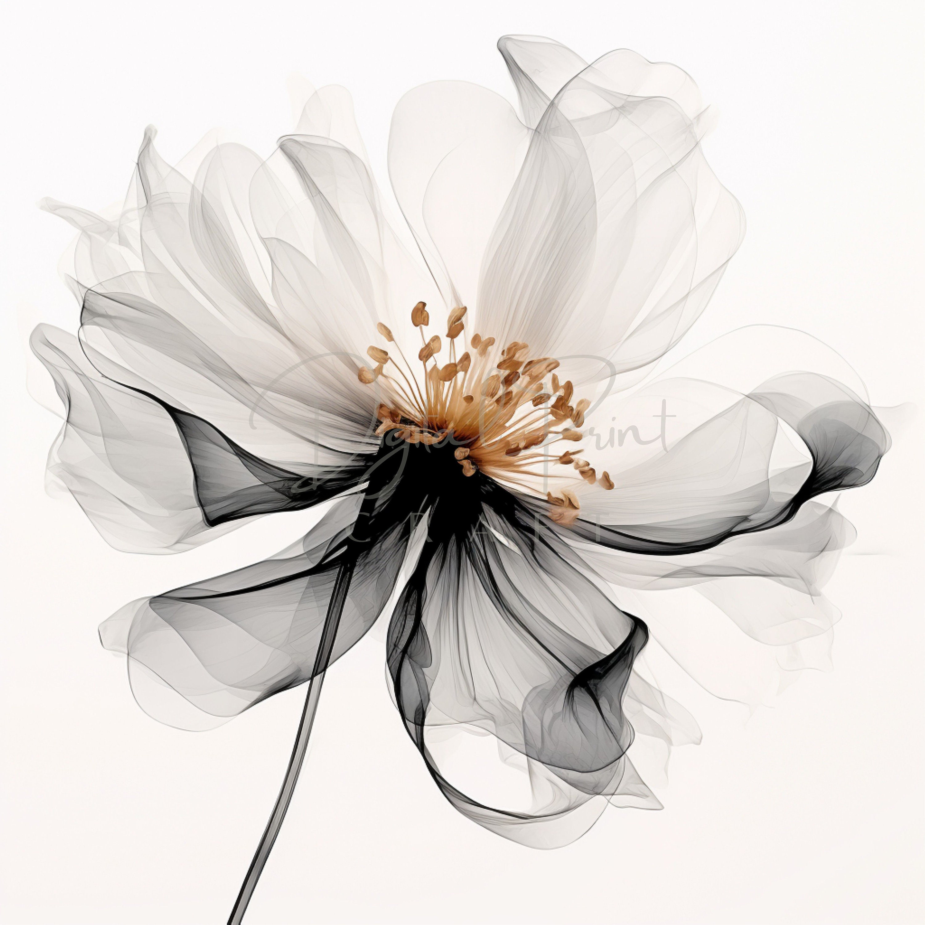 Abstract Modern Flower Art Clipart, Black Floral, 16 JPG, Printable ...