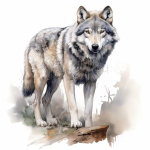 14 Forest Wolf Clipart, Wildlife Animal Landscape, Watercolor JPG ...
