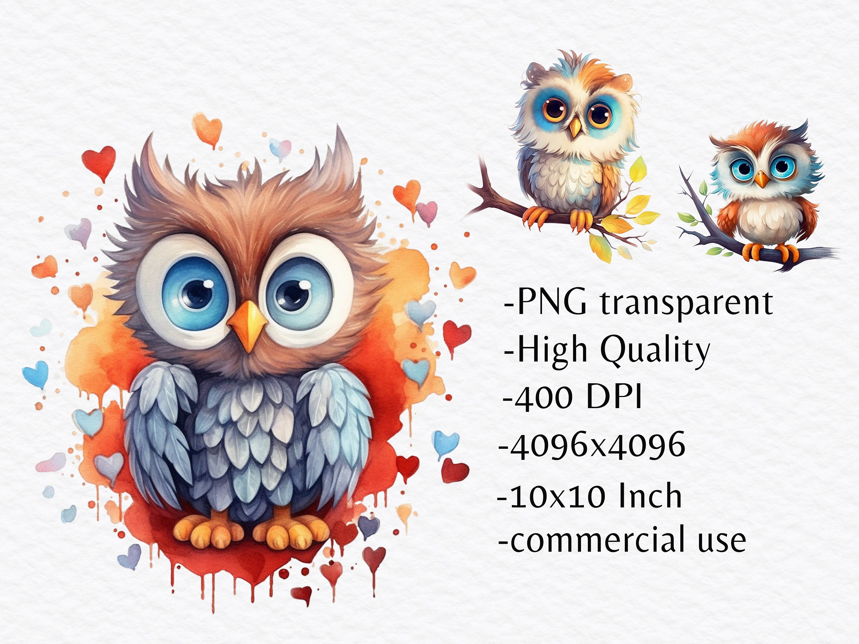 Cute Colorful Owl Clipart PNG Bundle Watercolor PNG Files for - Etsy