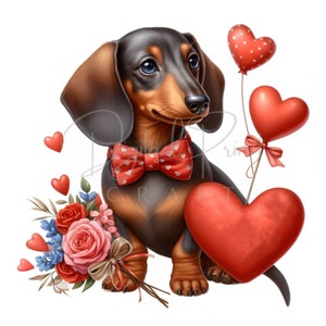 Valentines Dachshund Clipart, 12 PNG Valentines Day Clipart, Valentine ...