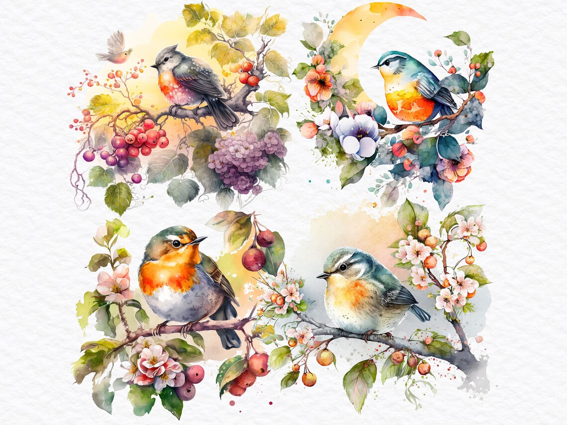 Birds Flowers Clipart PNG Bundle JPG and SVG Files 19 Images - Etsy