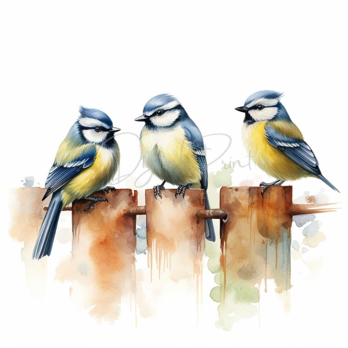 16 Eurasian Blue Tit Clipart, Forest Little Bird, Watercolor JPG, Ideal ...