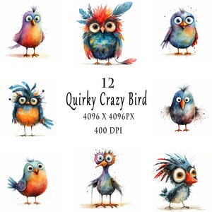 Quirky Crazy Bird Clipart, Colorful Clipart, 12 High Quality Jpgs ...