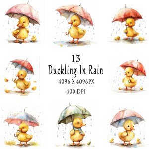 Duckling in Rain Clipart, Duck Clipart, 13 High Quality Jpgs,printable ...
