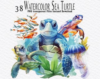 Sea Turtle Watercolor Clipart Bundle, Nautical Ocean Animals PNG for ...