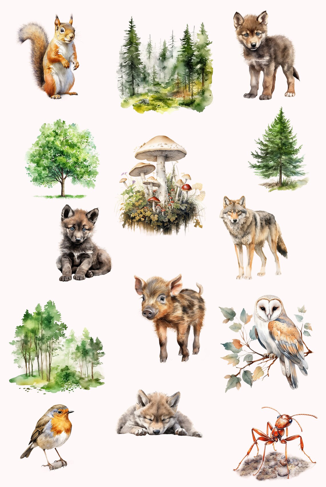 Woodland Animals Clipart Watercolor Forest Animals Png Watercolor ...