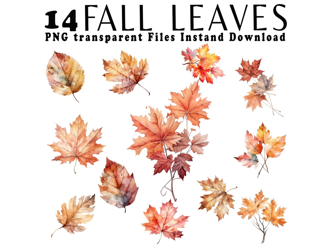Watercolor Fall Clipart Bundle Watercolor Fall Leaves Fall - Etsy