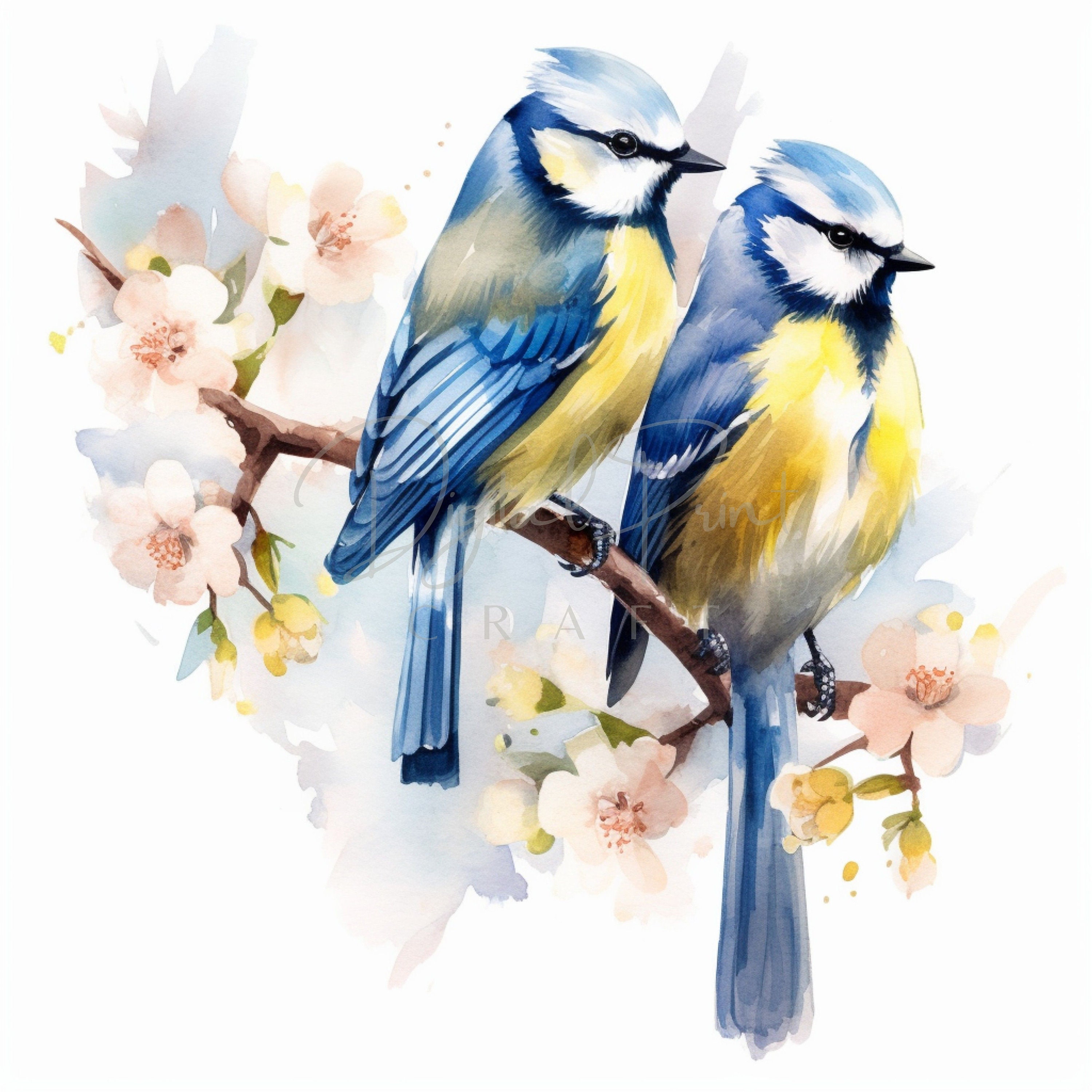 16 Eurasian Blue Tit Clipart, Forest Little Bird, Watercolor JPG, Ideal ...
