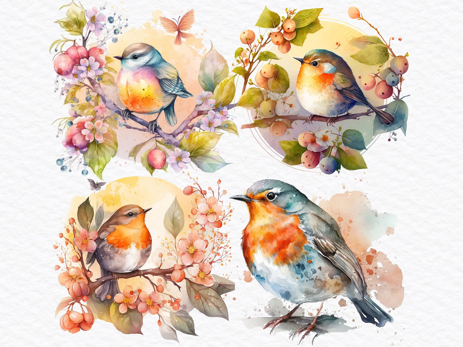 Birds Flowers Clipart PNG Bundle JPG and SVG Files 19 Images - Etsy