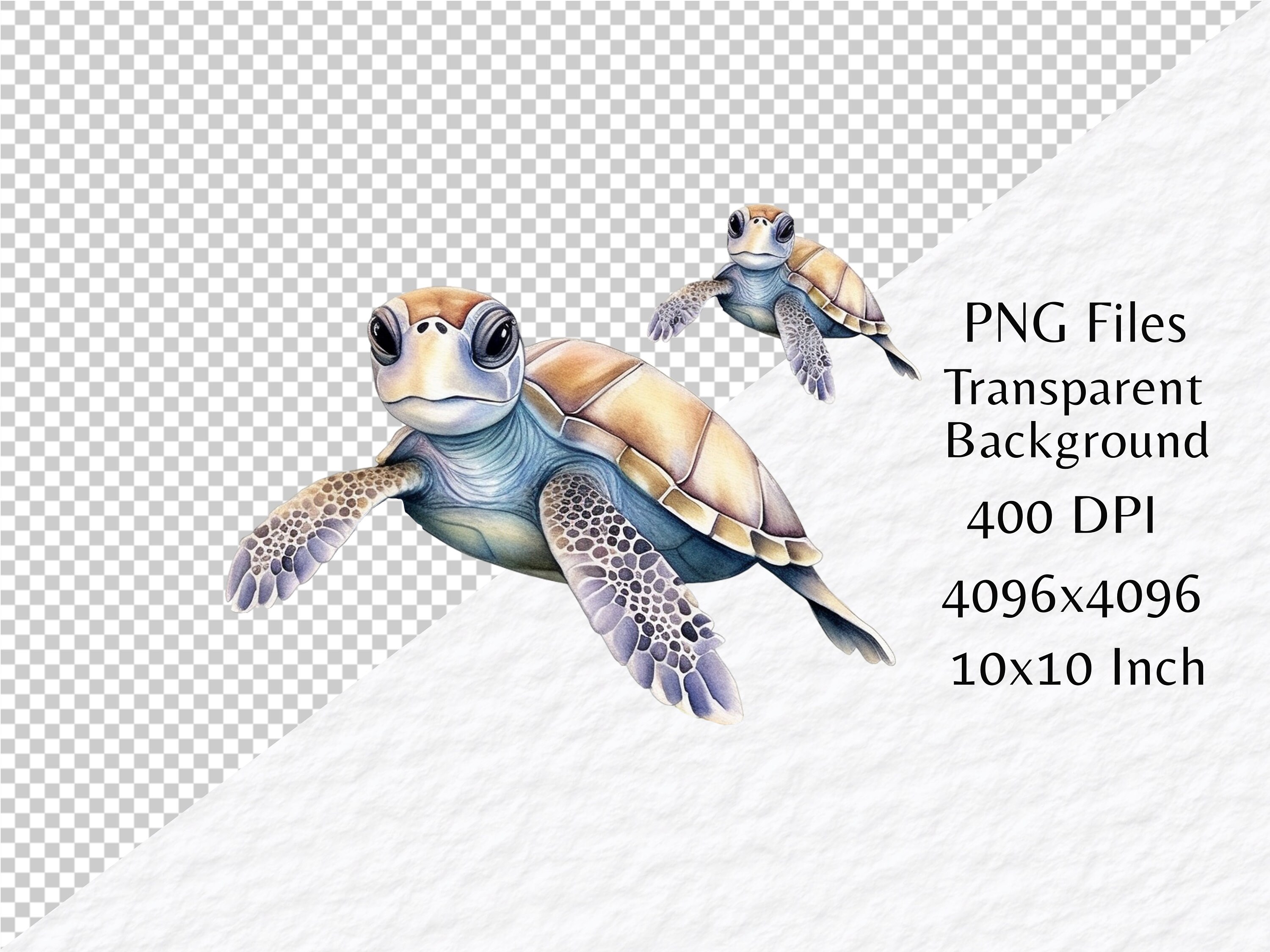 Watercolor Sea Turtle Clipart PNG Bundle,watercolor Ocean Animals ...