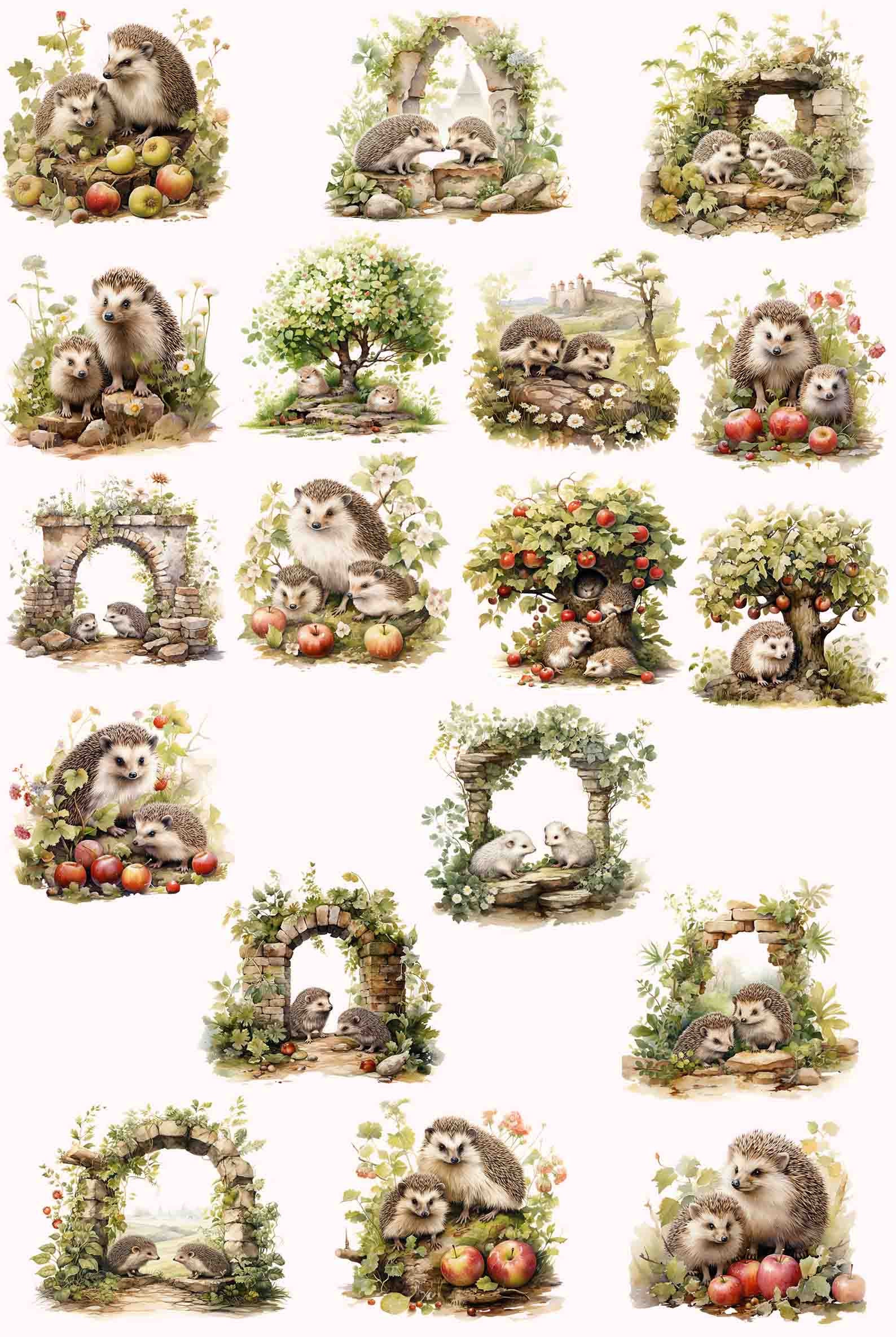 18 Hedgehog Sweet Floral Clipart, Summer Landscape, Watercolor PNG ...