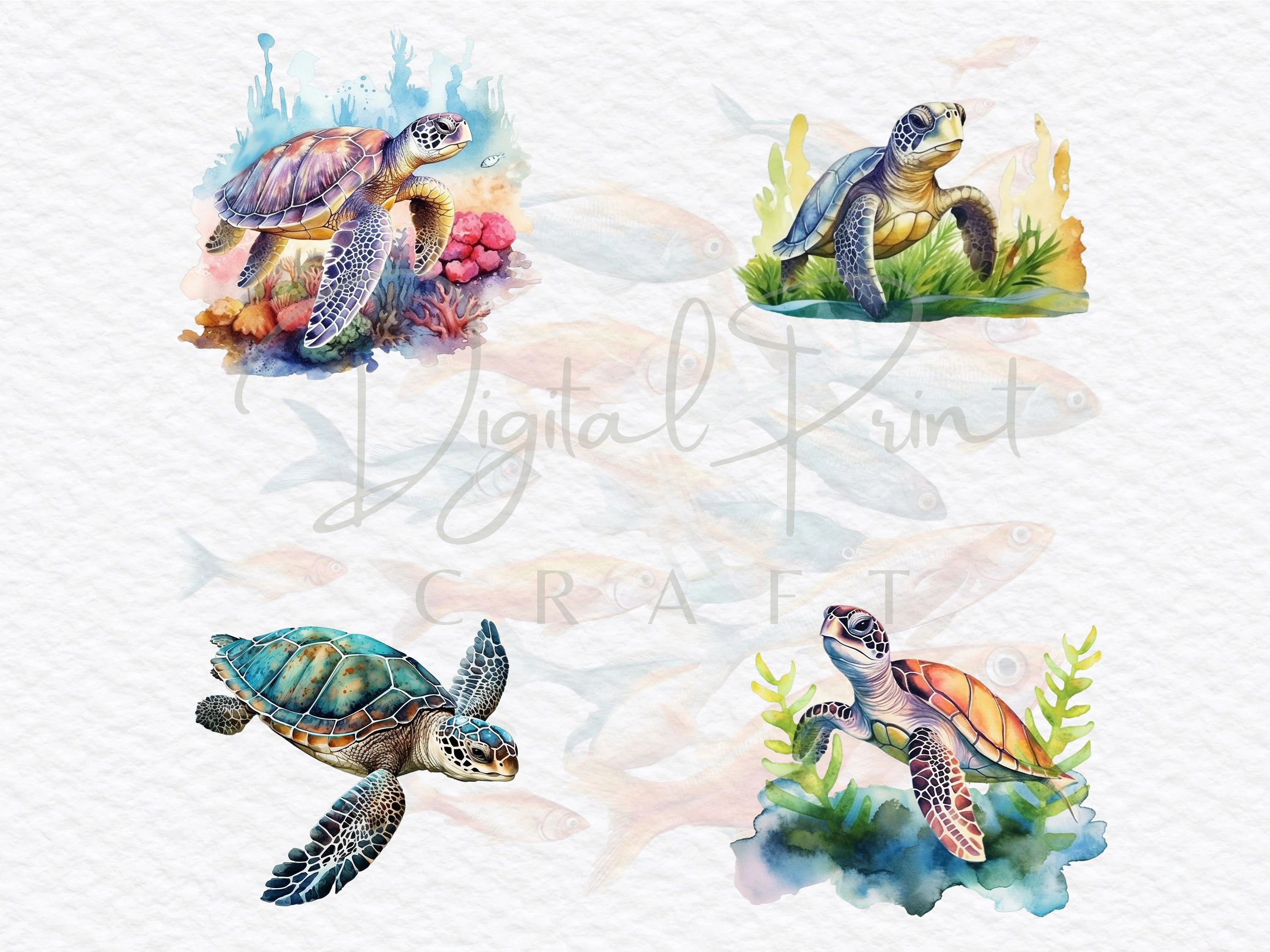 Watercolor Sea Turtle Clipart PNG Bundle,watercolor Ocean Animals ...