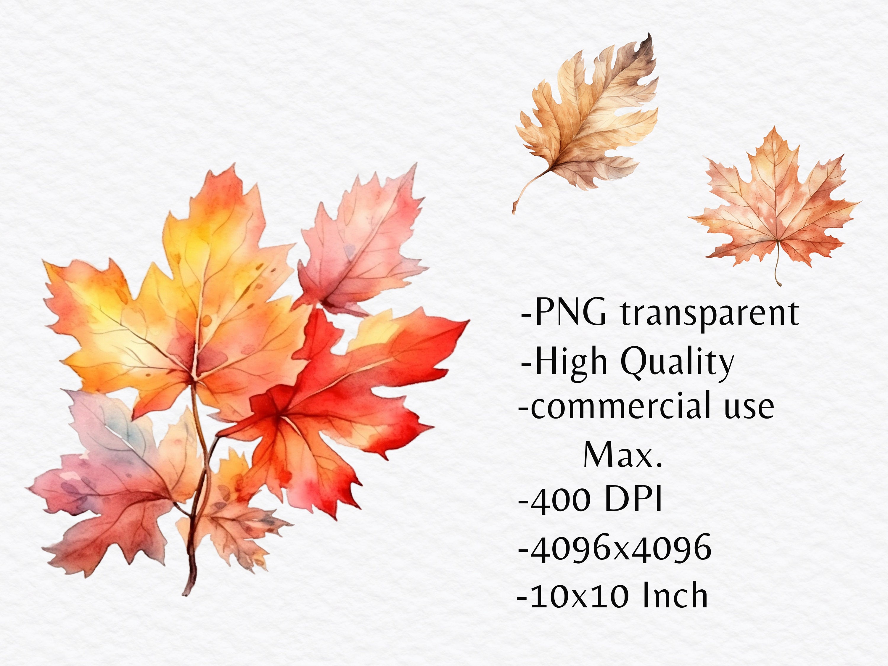 Watercolor Fall Clipart Bundle Watercolor Fall Leaves Fall Leaves ...