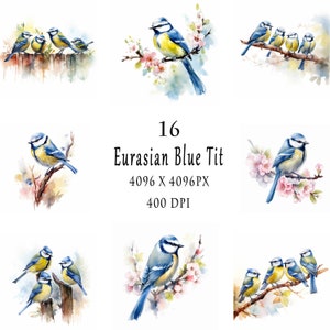 16 Eurasian Blue Tit Clipart, Forest Little Bird, Watercolor JPG, Ideal ...