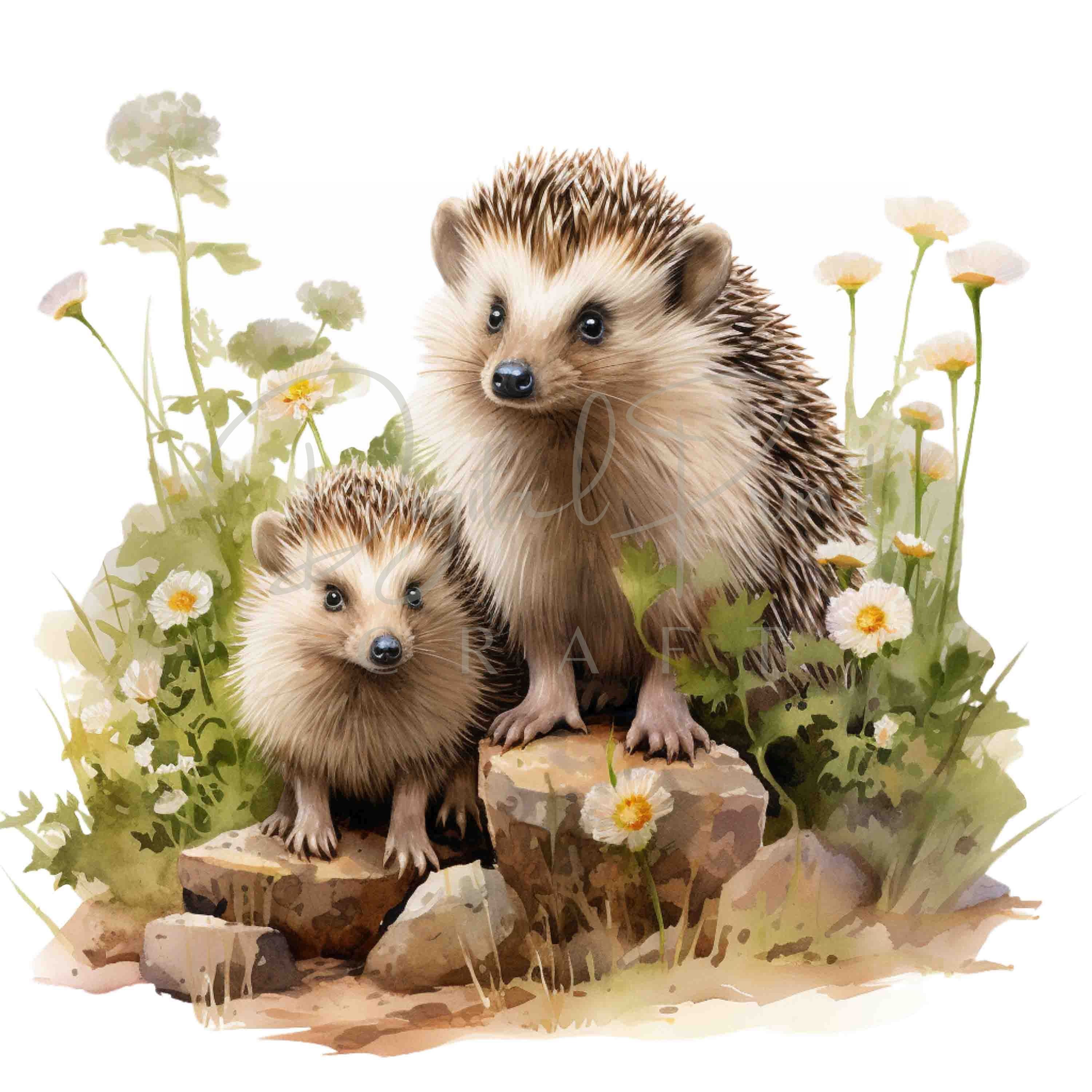 18 Hedgehog Sweet Floral Clipart, Summer Landscape, Watercolor PNG ...