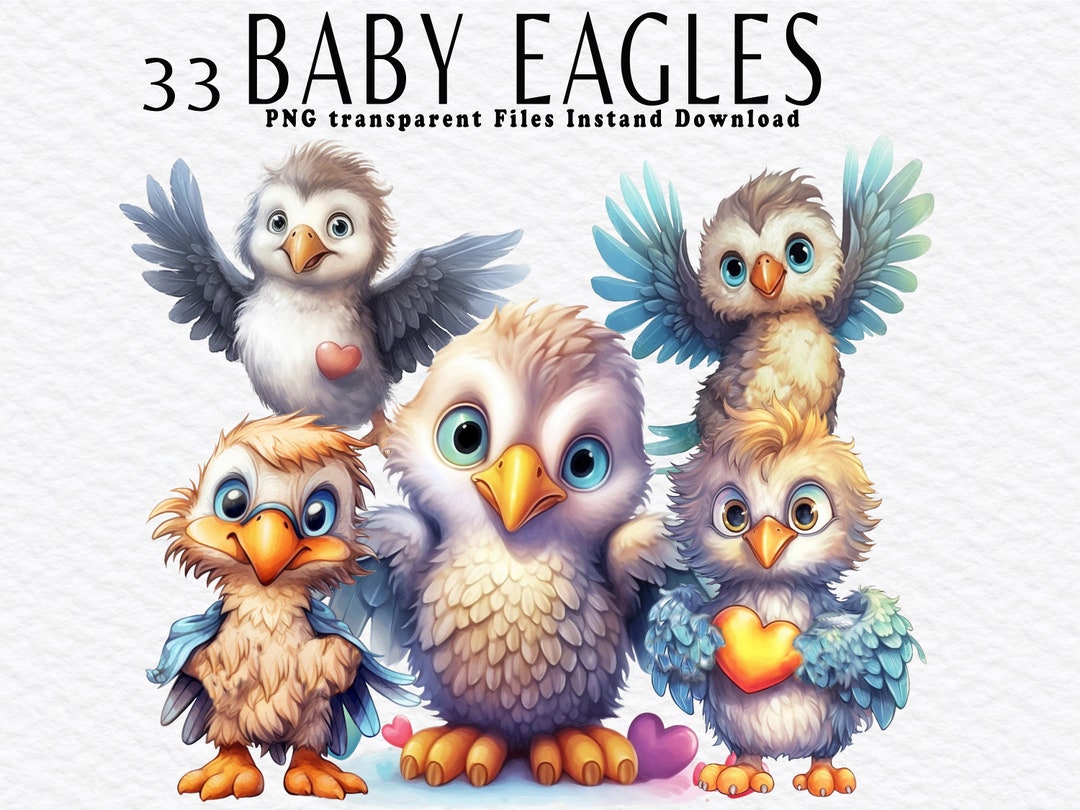 Colorful Cute Baby Eagles Clipart PNG Bundle, Watercolor PNG Files for ...