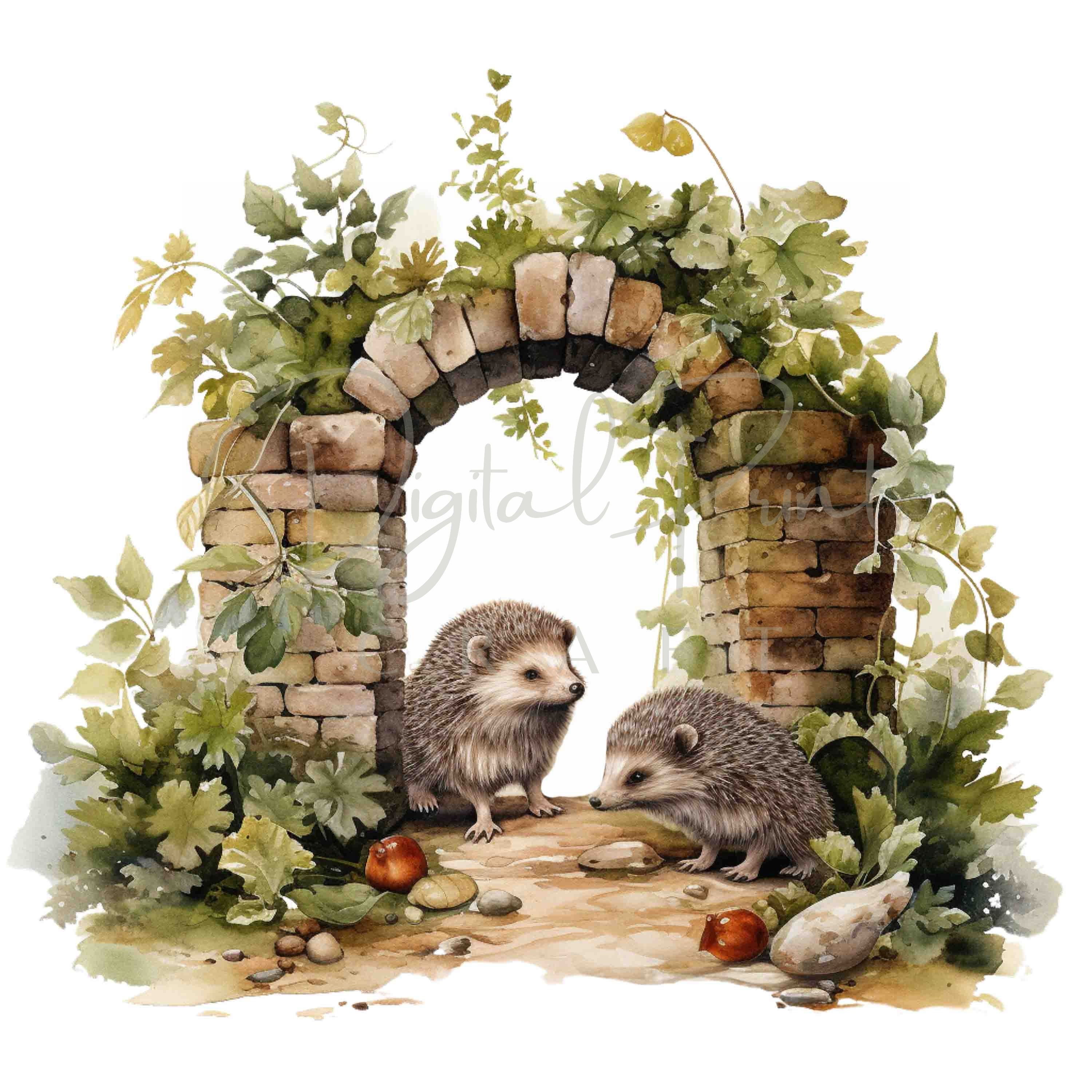 18 Hedgehog Sweet Floral Clipart, Summer Landscape, Watercolor PNG ...