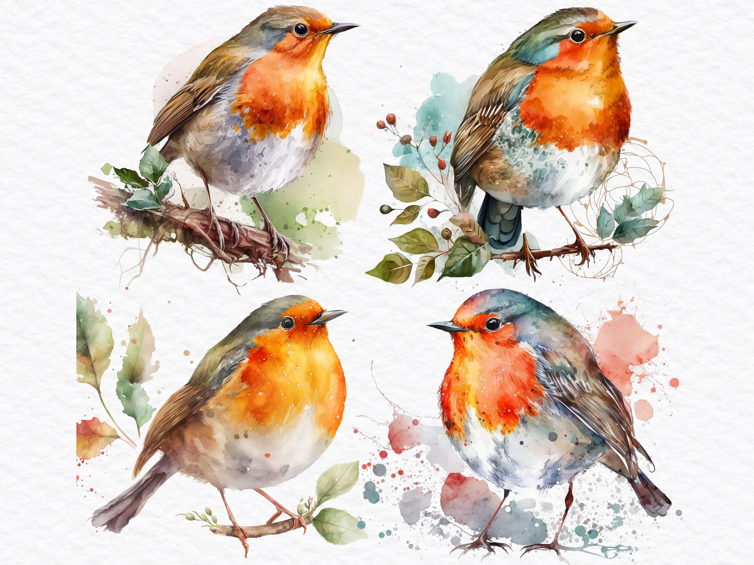 Birds Flowers Clipart PNG Bundle JPG and SVG Files 19 Images - Etsy