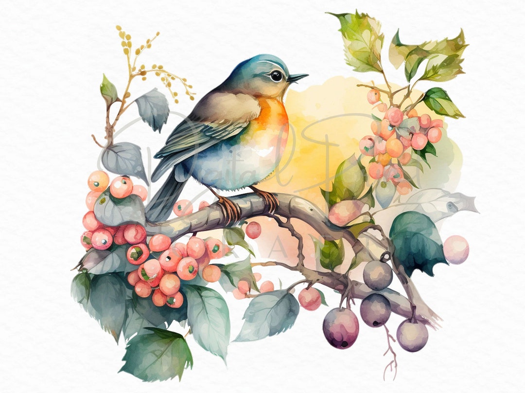 Birds Flowers Clipart PNG Bundle + JPG and SVG Files 19 Images ...