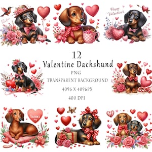 Valentines Dachshund Clipart, 12 PNG Valentines Day Clipart, Valentine ...