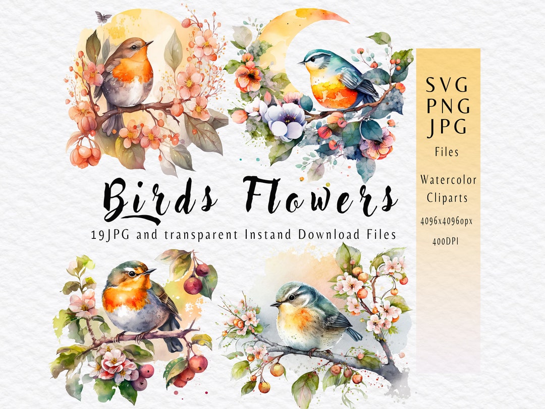 Birds Flowers Clipart PNG Bundle JPG and SVG Files 19 Images - Etsy