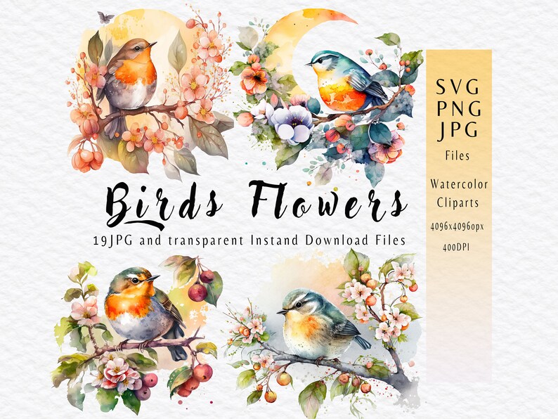Birds Flowers Clipart PNG Bundle + JPG and SVG Files 19 Images ...