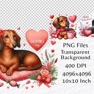 Valentines Dachshund Clipart, 12 PNG Valentines Day Clipart, Valentine ...