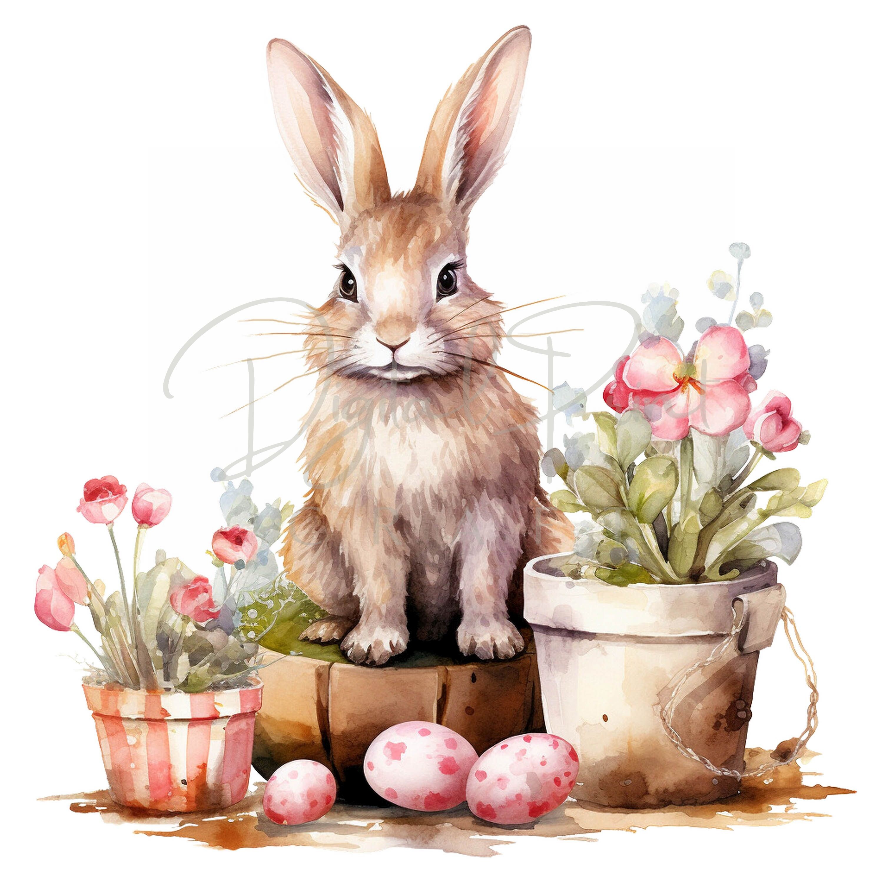 Easter Bunny Flower Spring Clipart, 19 High Quality Pngs, Rabbit ...