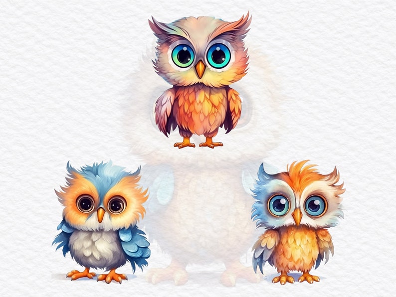 Colorful Owl Clipart PNG Bundle Watercolor PNG Files for - Etsy