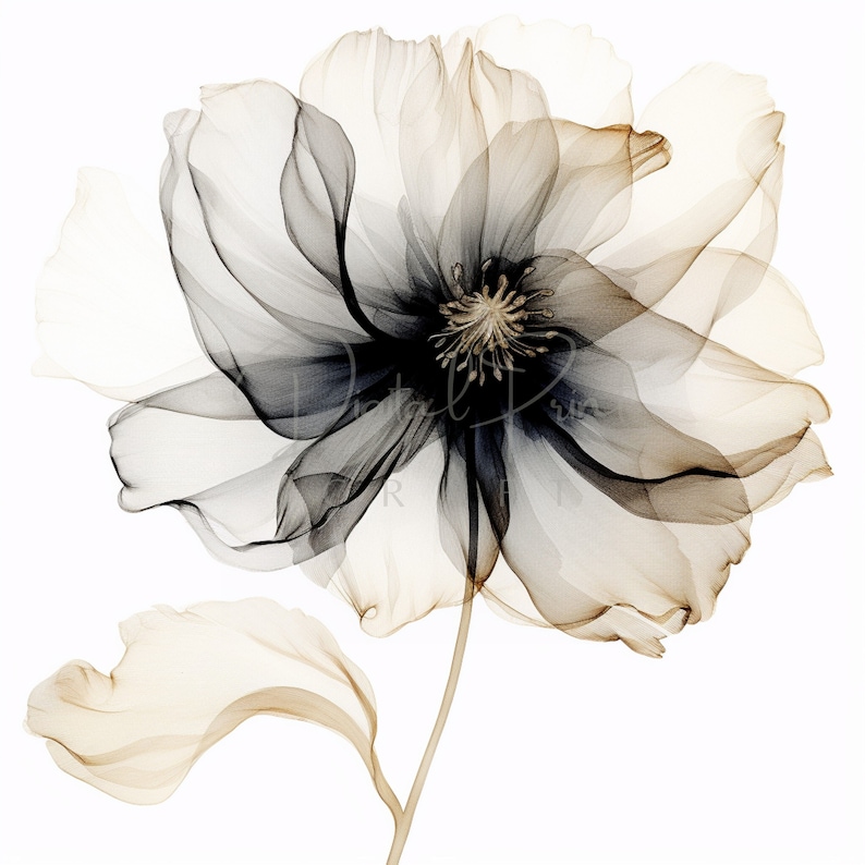 Abstract Modern Flower Art Clipart, Black Floral, 16 JPG, Printable ...