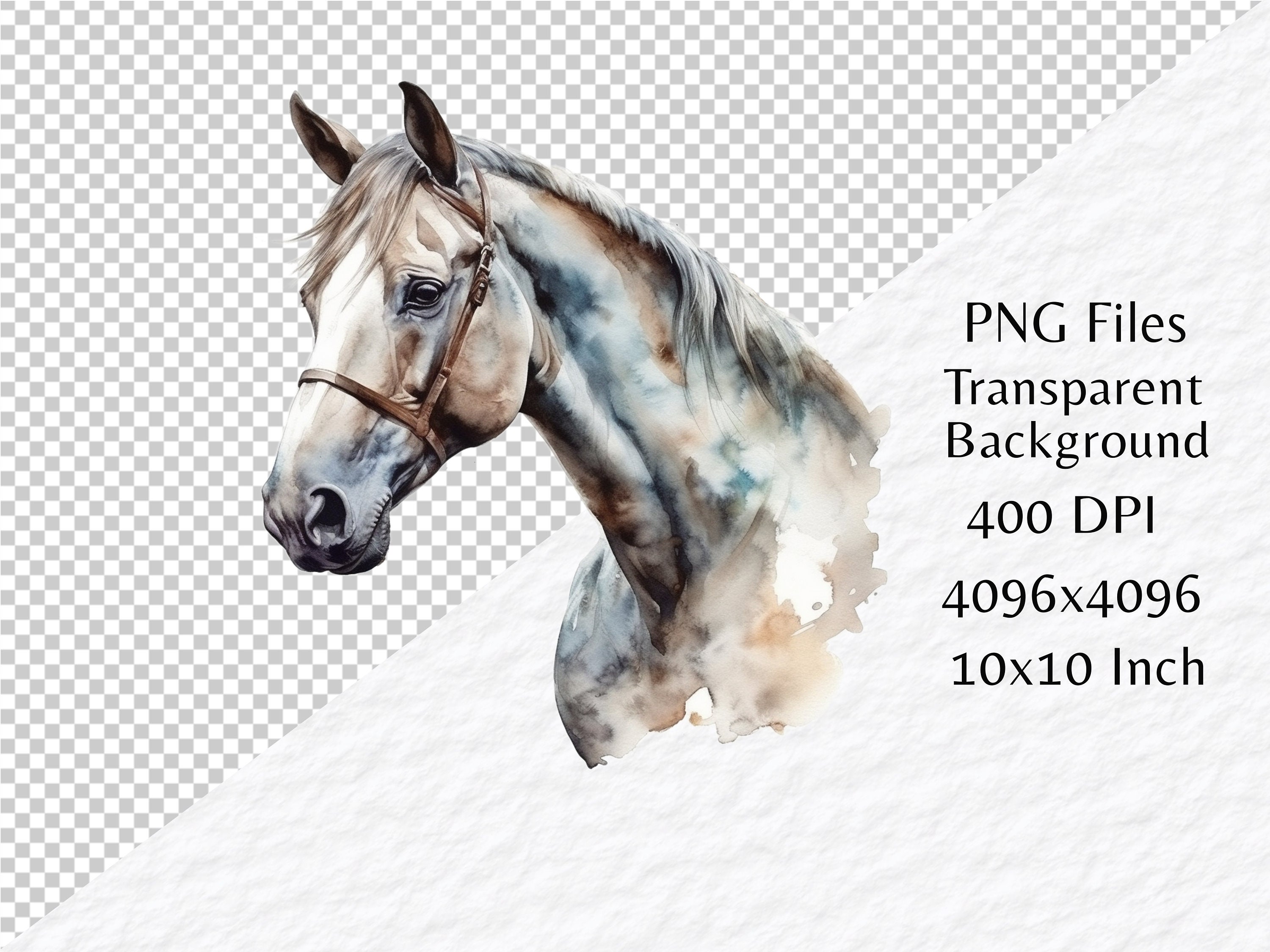 Horses Watercolor Clipart 30 Horse Illustrations, Animals in the Nature ...