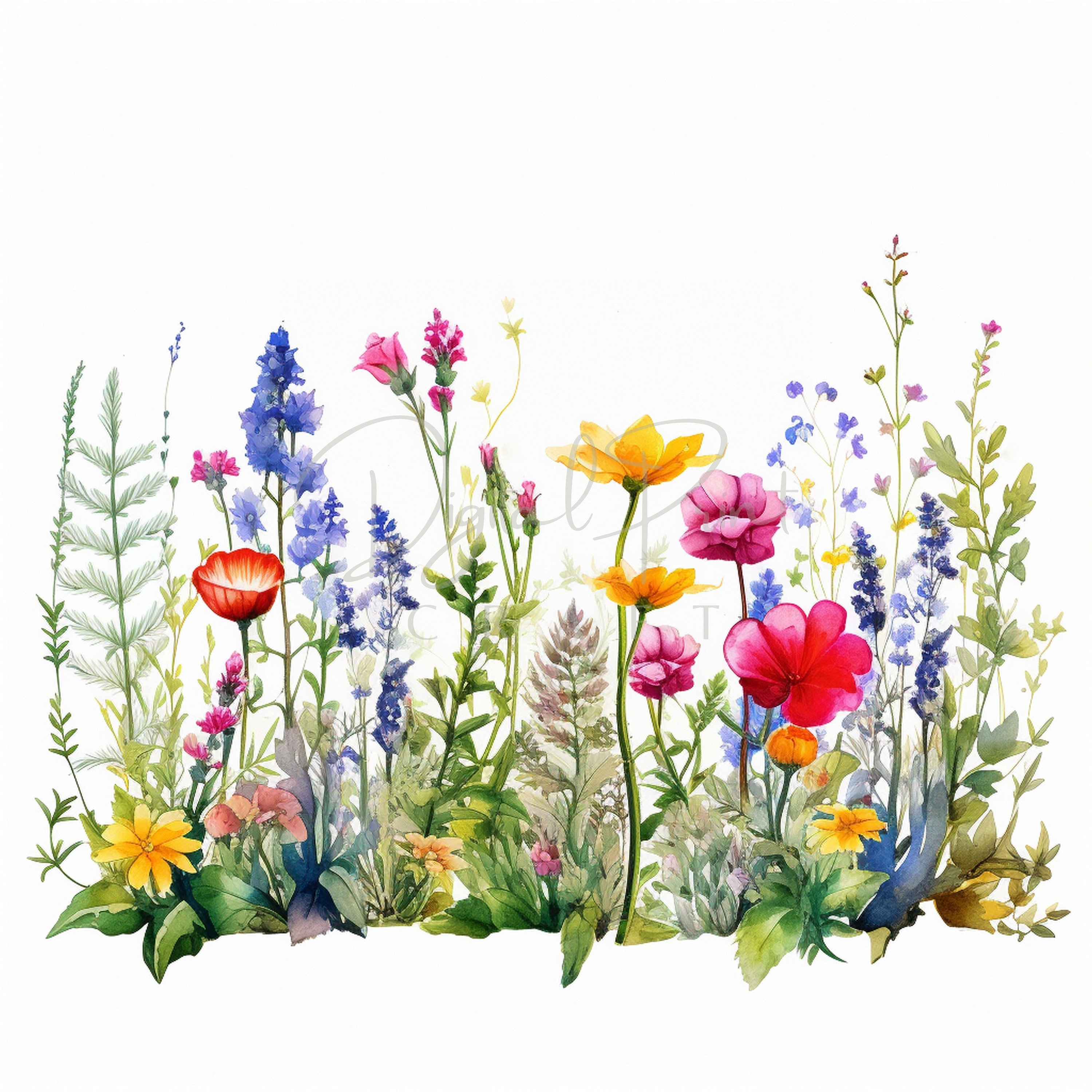 Spring Flower Meadow Bed Clipart Bundle 14 High Quality Jpgs ...