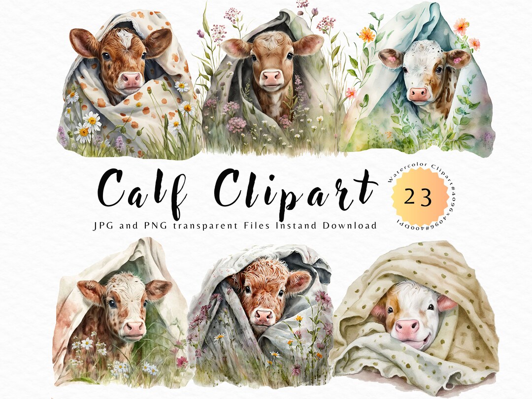 Kalf Clip Art PNG bundel en JPG's 23 hoge kwaliteit digitaal papier ...