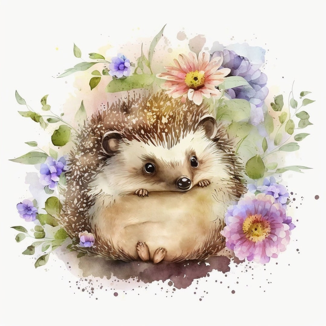 Hedgehog Watercolor Clipart Bundle 12 High Quality - Etsy
