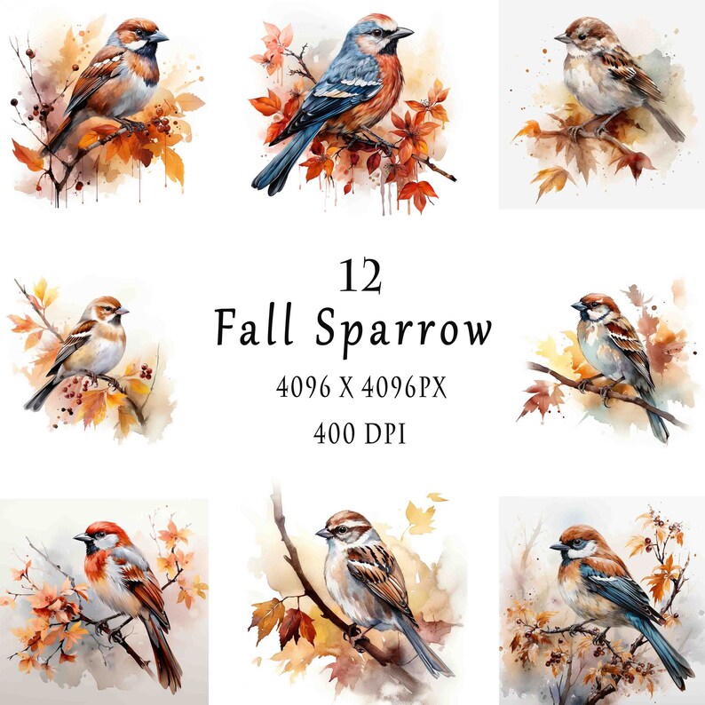 12 Autumn Sparrow Clipart, Forest Fall Color,sweet Bird, Watercolor JPG ...