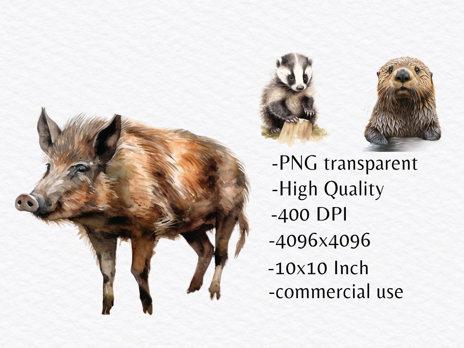 Woodland Animals Clipart Watercolor Forest Animals Png Watercolor ...