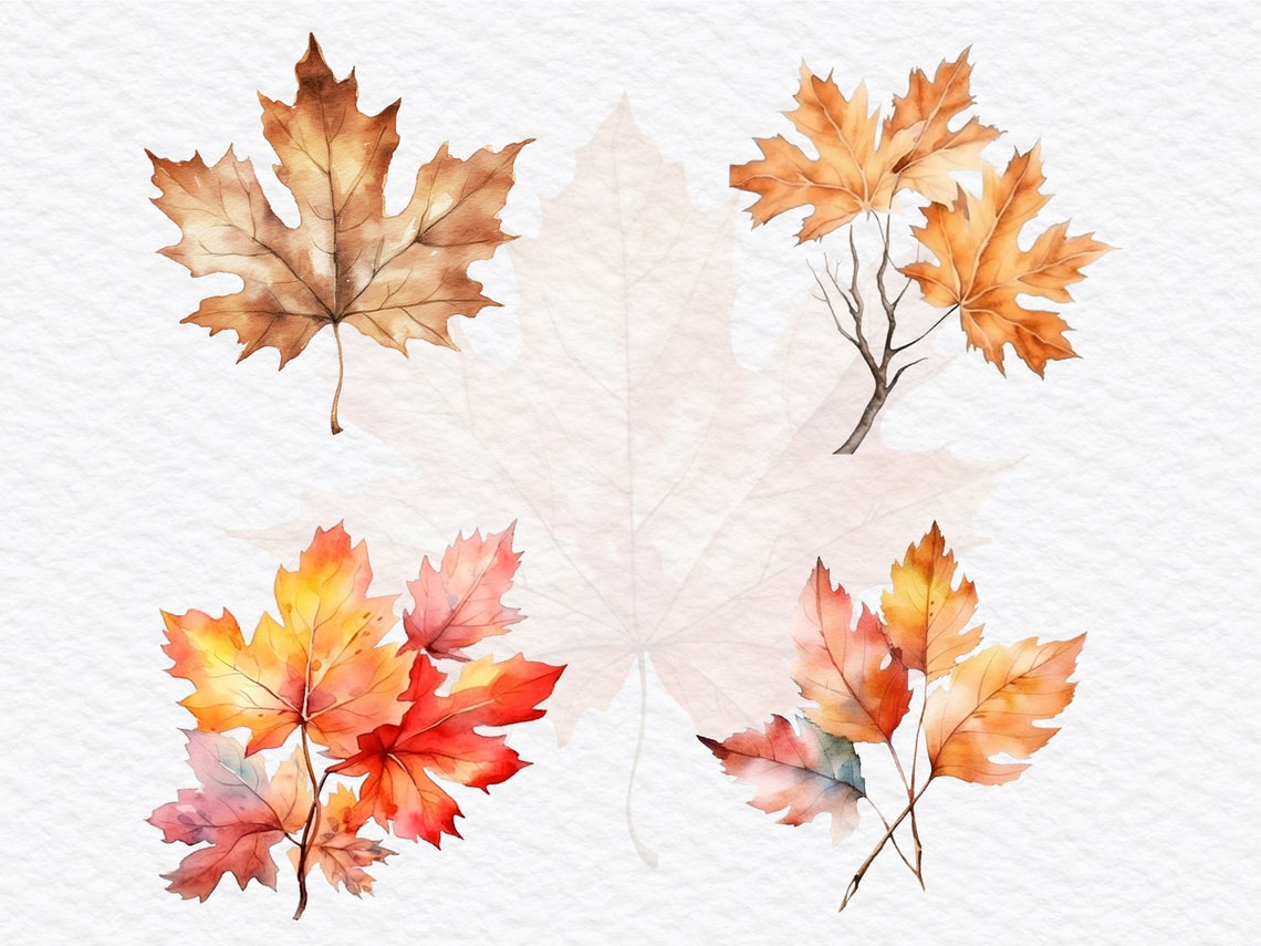 Watercolor Fall Clipart Bundle Watercolor Fall Leaves Fall - Etsy