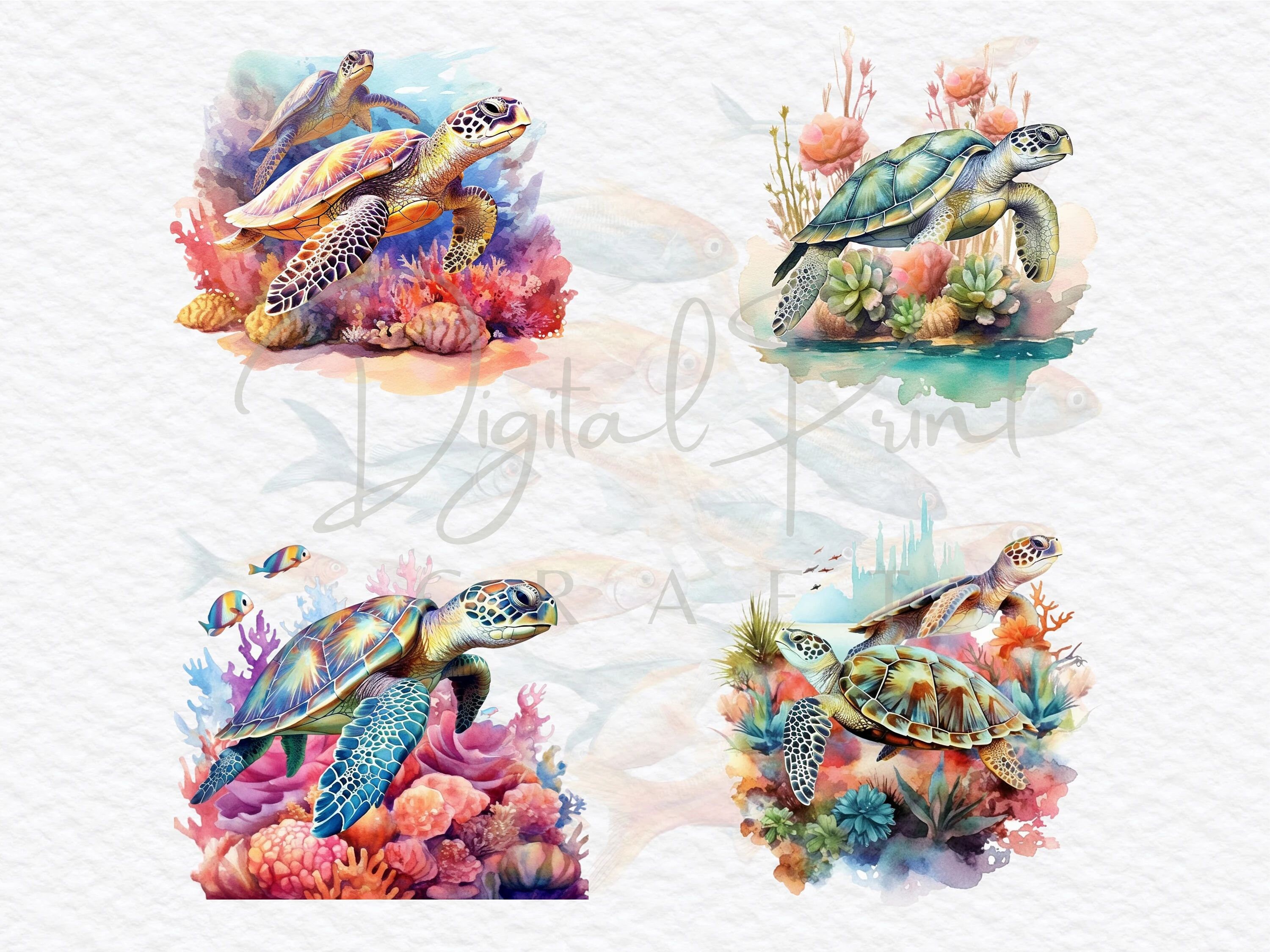 Watercolor Sea Turtle Clipart PNG Bundle,watercolor Ocean Animals ...