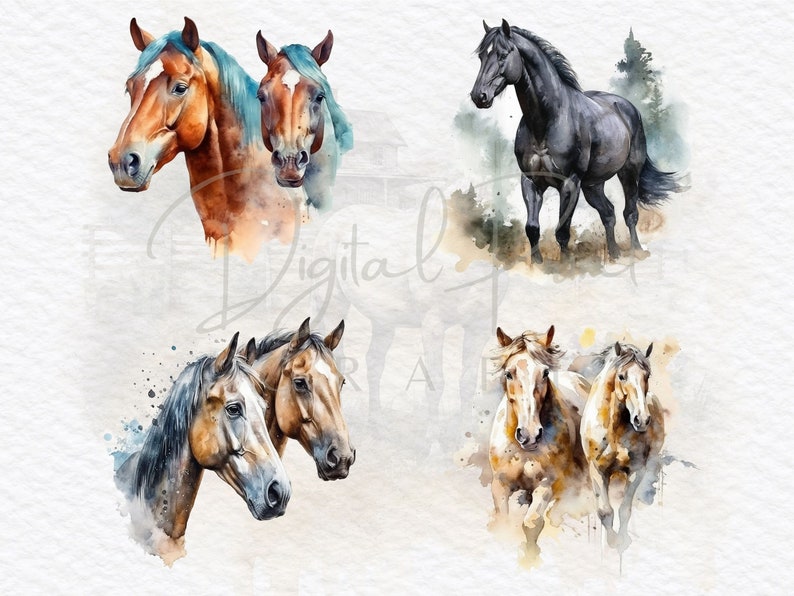 Horses Watercolor Clipart 30 Horse Illustrations, Animals in the Nature ...