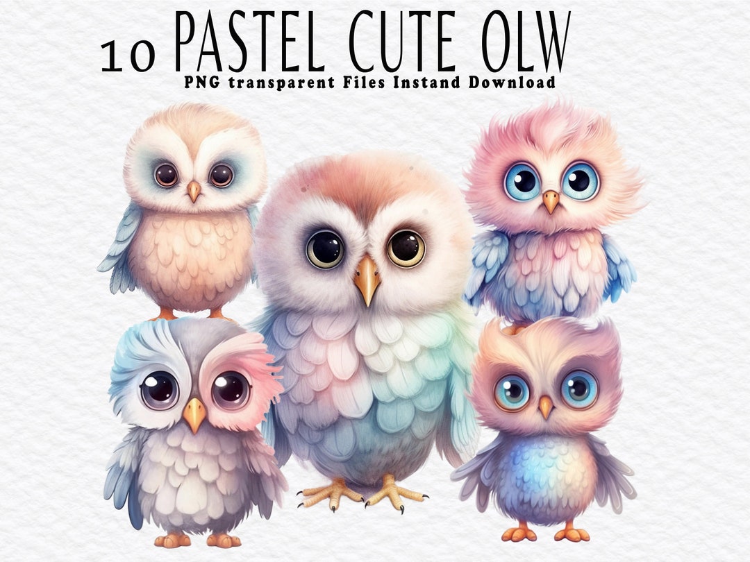 Pastel Owl Clipart PNG Bundle, Watercolor PNG Files for Sublimation ...