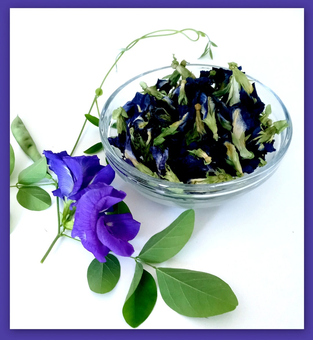 Clitoria Ternatea Blue Butterfly Pea Flower Seed Fresh Herbal Tea Seeds ...
