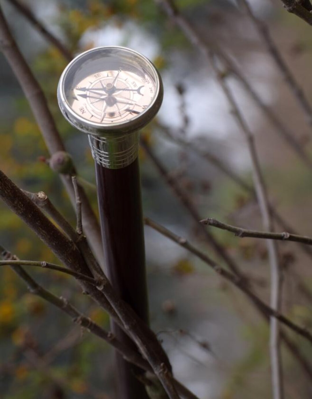 Vintage Brass & Wood Compass Walking Stick - Nickel Finish Gentleman's ...
