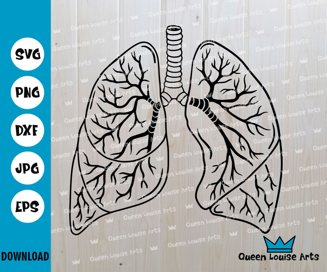 Human Lung Svg, Lungs Svg Floral, Human Lung Silhouette, Human Lung ...