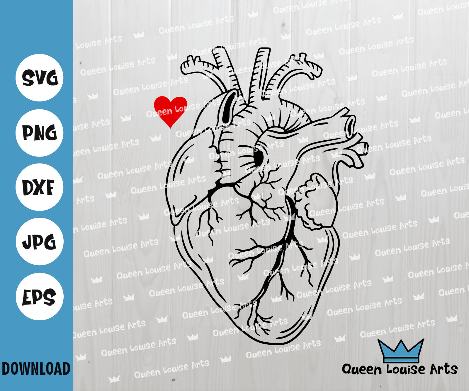 Human Heart Stencil