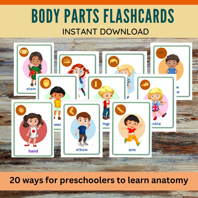 Body Parts Flashcards for Preschoolers Prek Kindergarten Printable ...