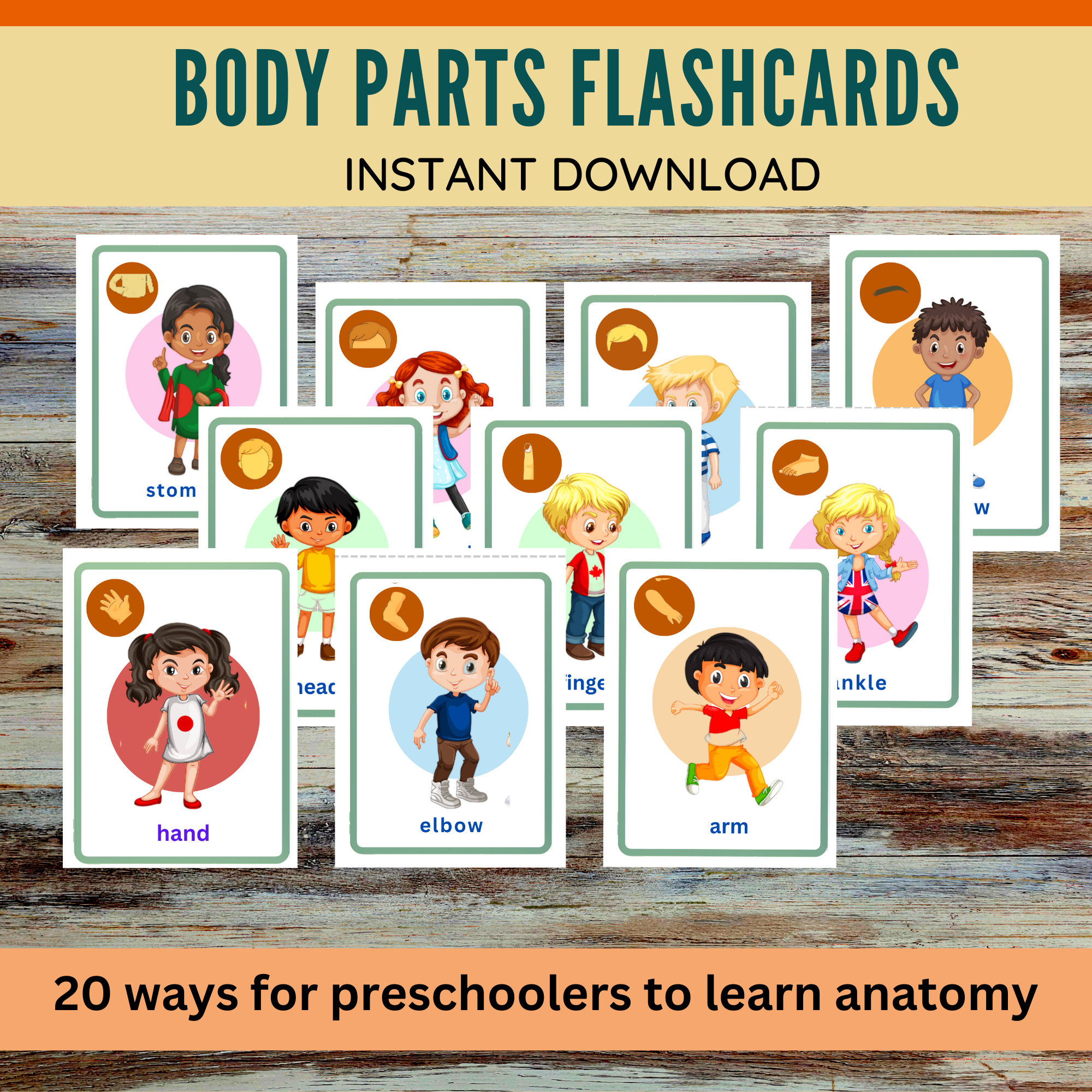 Body Parts Flashcards for Preschoolers Prek Kindergarten Printable ...