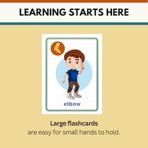 Body Parts Flashcards for Preschoolers Prek Kindergarten Printable ...