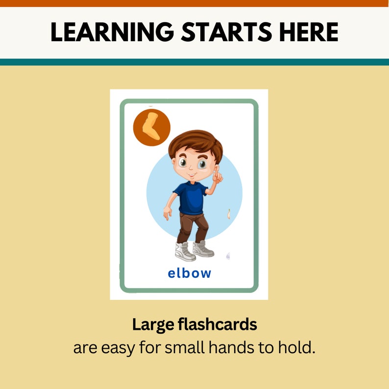 Body Parts Flashcards for Preschoolers Prek Kindergarten Printable ...
